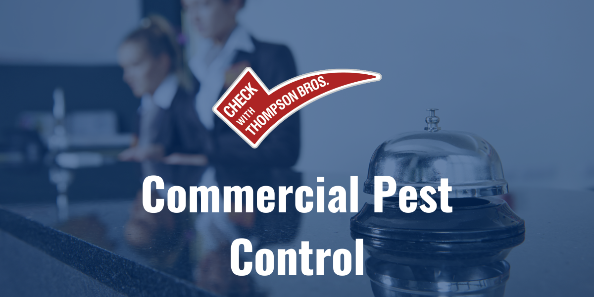 The Importance of Commercial Pest Control | Thompson Exterminating