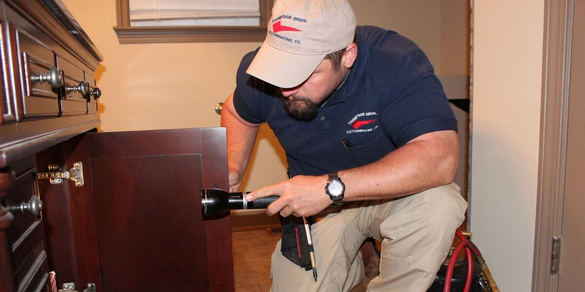 Safely Deter Rodents from Your Home | Thompson Exterminating