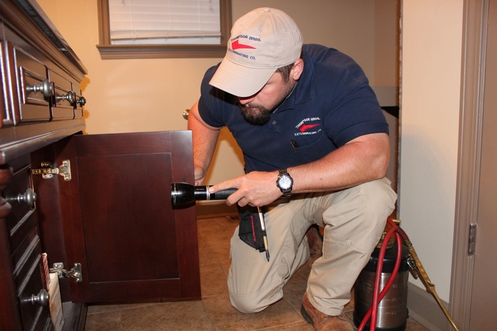 Safely Deter Rodents from Your Home | Thompson Exterminating